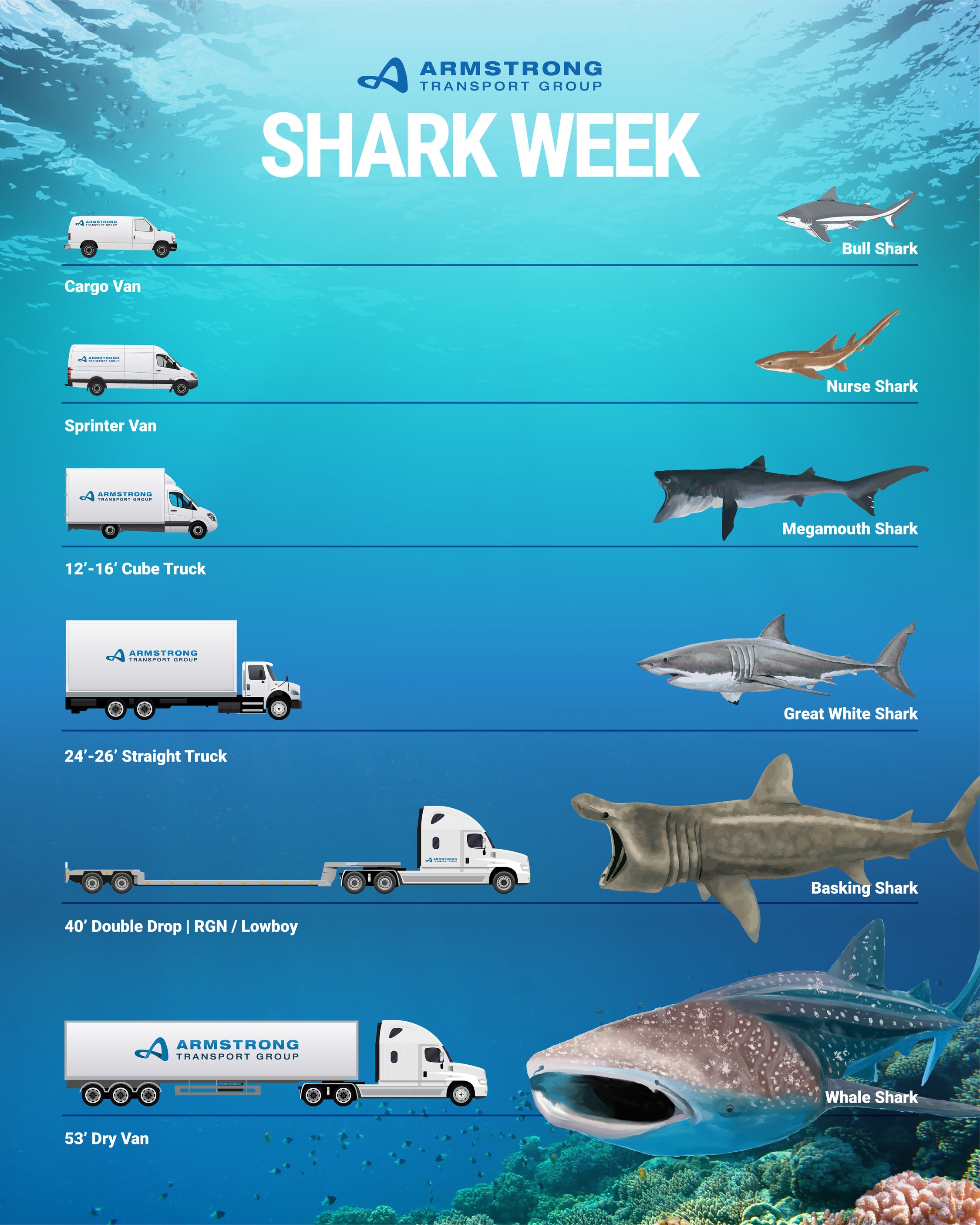 Shark Week: Facts and Figures